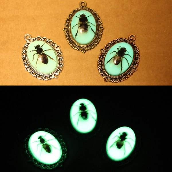 Real Insect Resin Jewellery - Etsy
