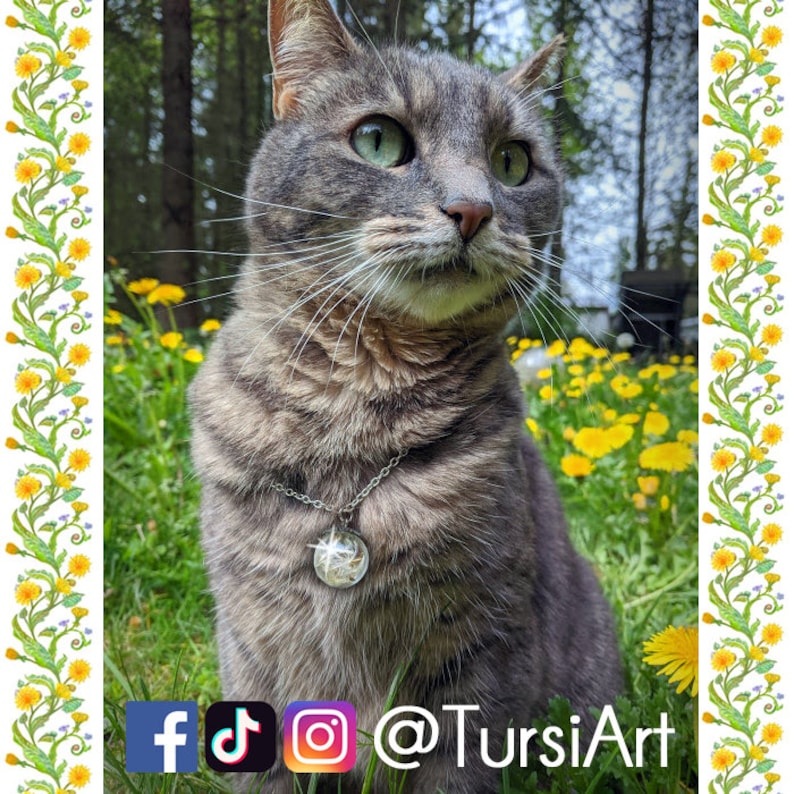 Glow in the Dark Honey Bee Pendant. Real Bug Taxidermy Necklace ...