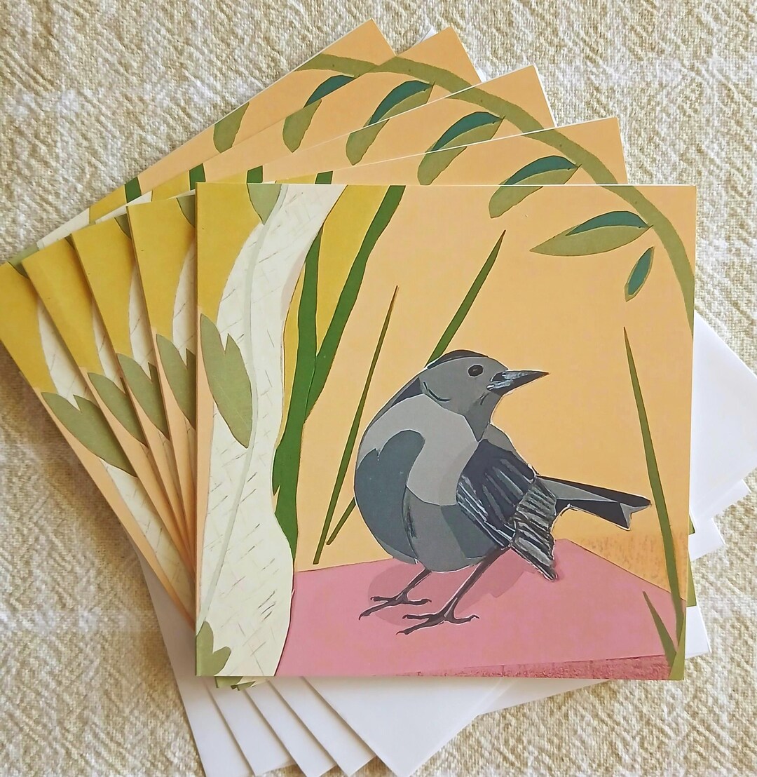 Gray Catbird Greeting Cards, Whimsical Bird Art, Any Occasion - Etsy