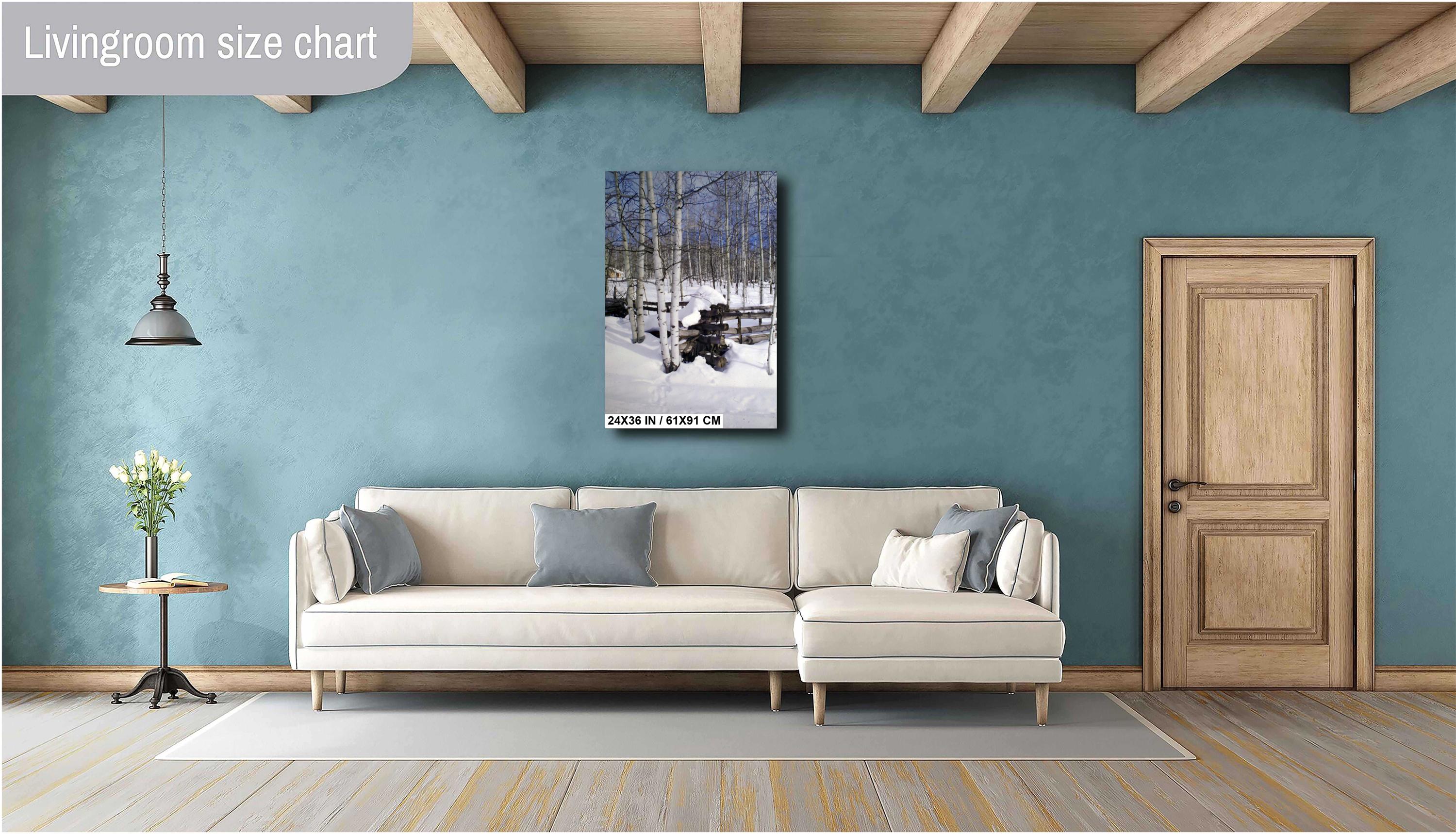 Aspen in Winter, Snow, Round Corral, Gray Pole Fence, Colorado, Grand ...