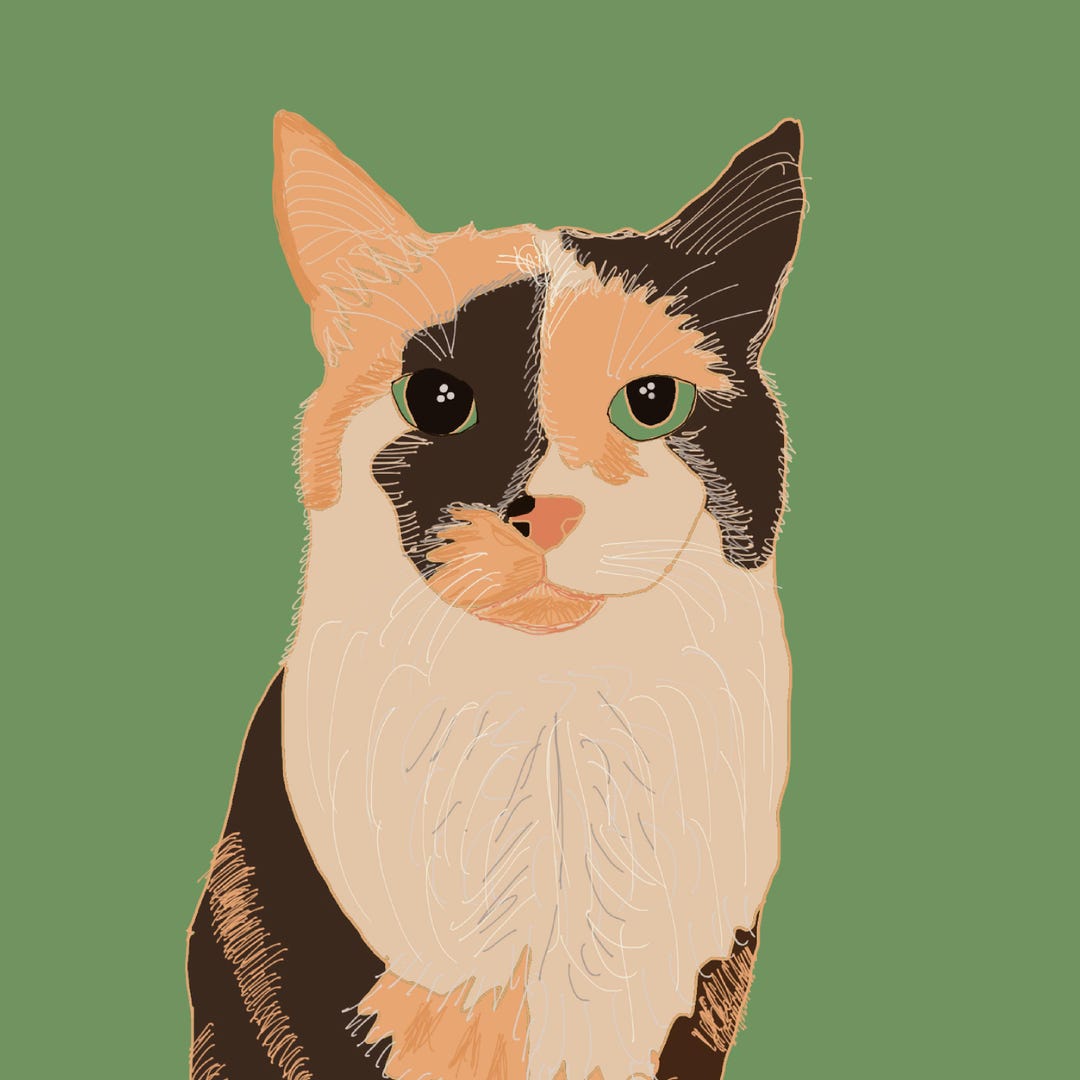 Digital Portrait of a Diluted Calico Cat on a Green Background - Pet ...