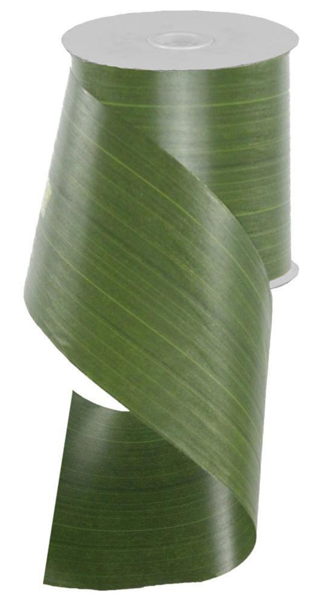 Variegated Moss Green Leaf Ribbon - 4 1/4" X 50 Yards, Ti Leaf ...