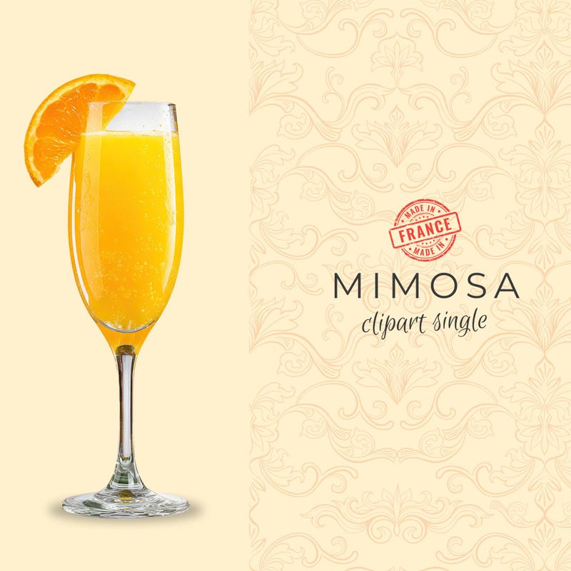 Mimosa Tree Art Print - Etsy