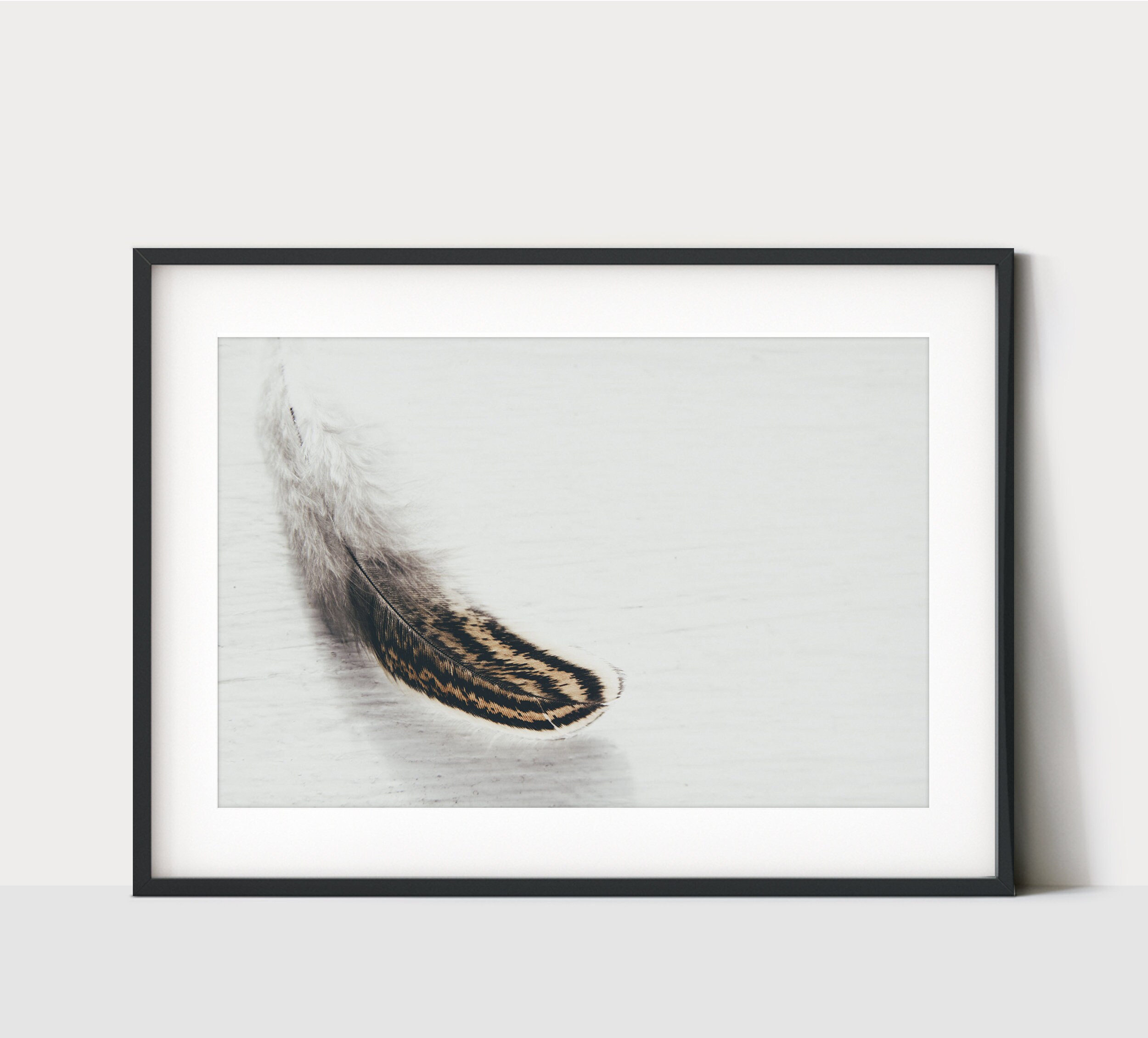 Feather Art Print - Still Life Photography - Neutral Colors Wall Art ...