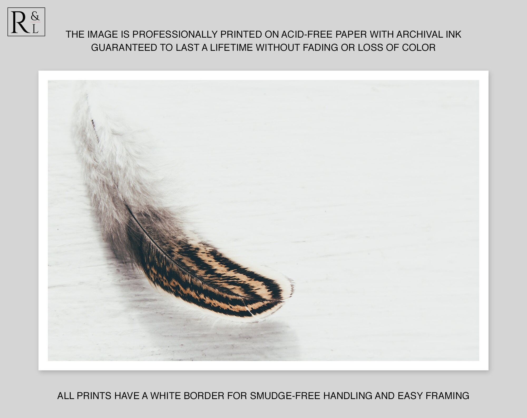 Feather Art Print - Still Life Photography - Neutral Colors Wall Art ...