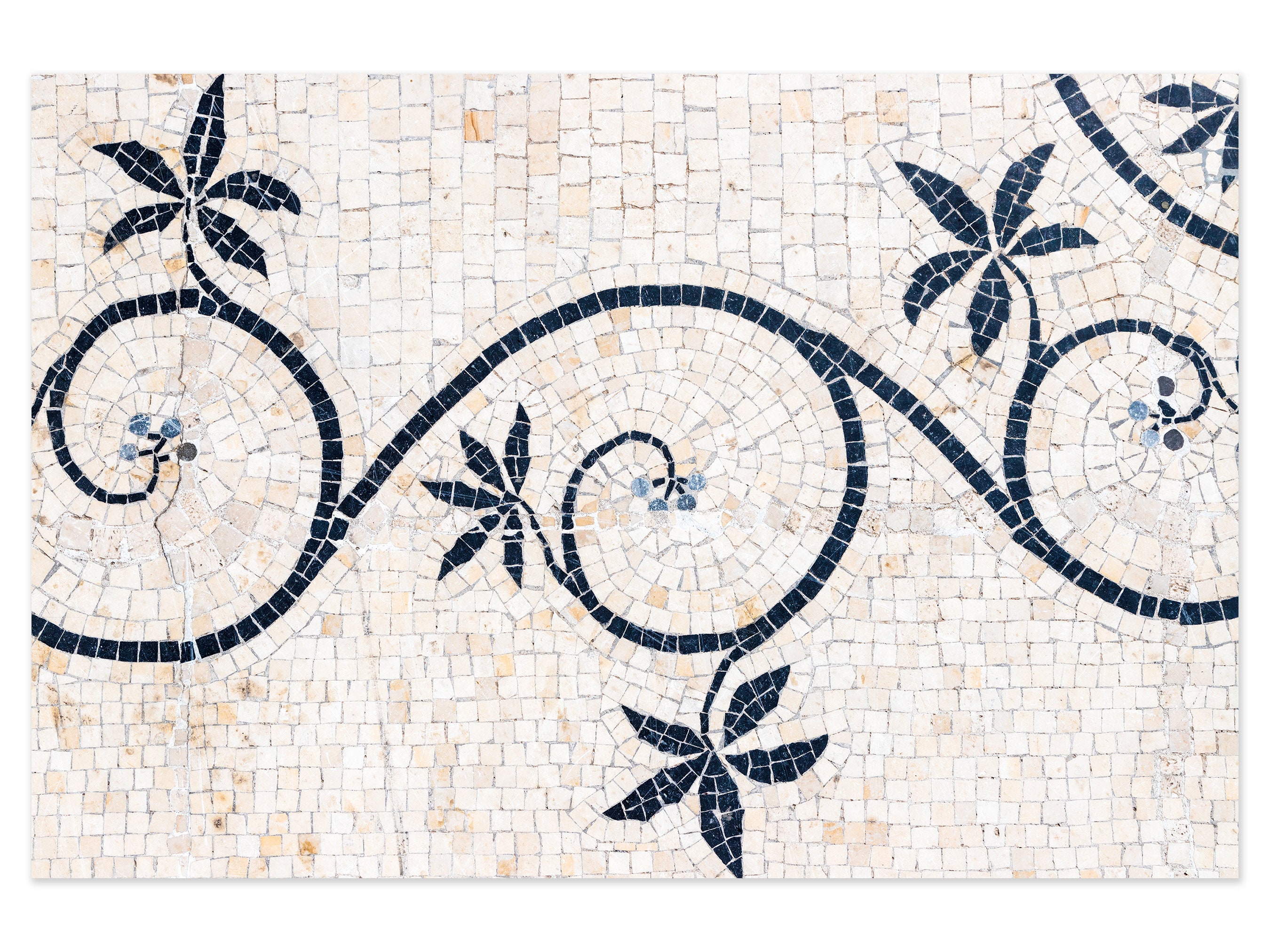 Floral Mosaic Photography Print, French Riviera Neutral Tones (8x12 to ...