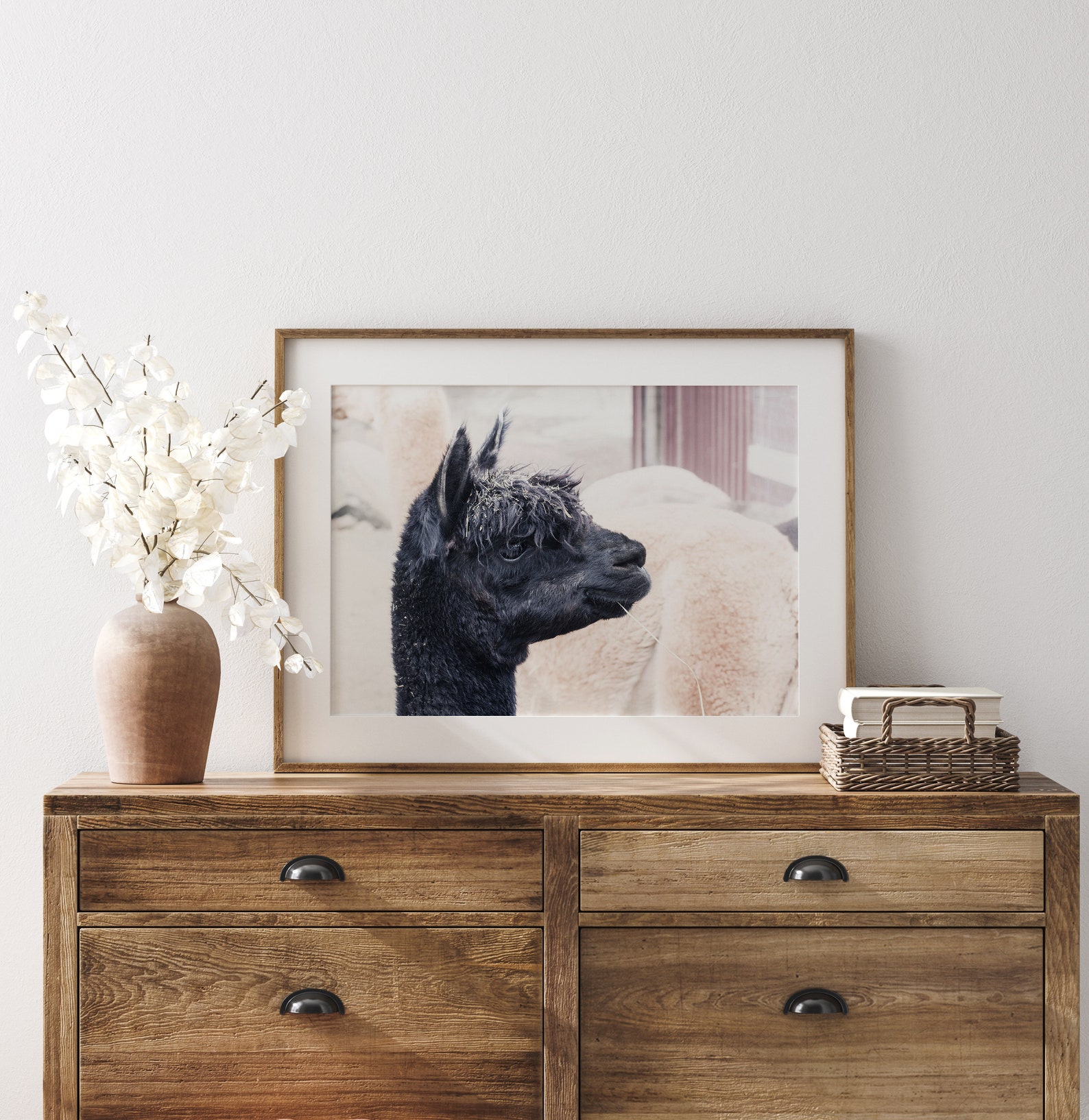 Alpaca Wall Art - Animal Photography Art Print - Farmhouse Wall Decor ...
