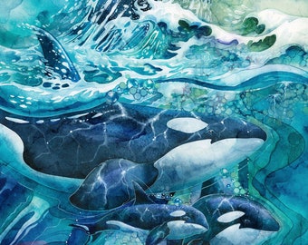 Orca Cotton Fabric - Etsy