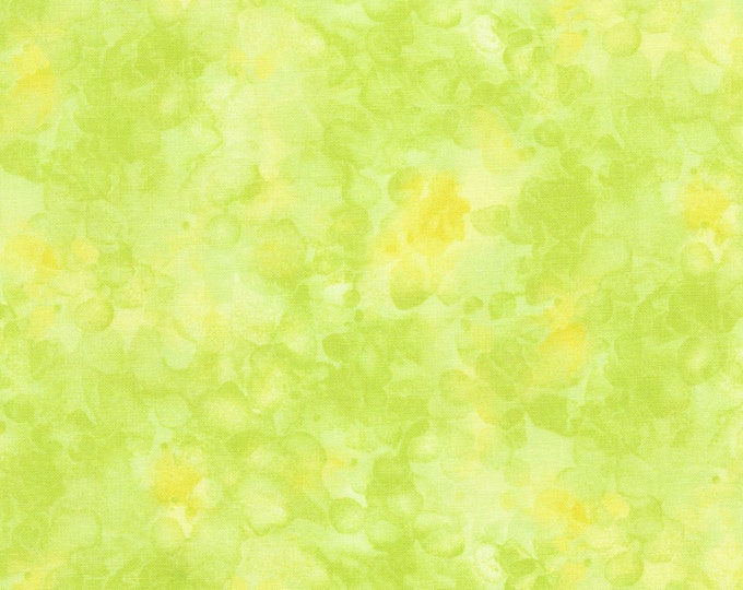 Eob~timeless Treasures~solid-ish by Kimberly Einmo~tonal Blender~citrus~fabric by the Yard C6100 ...