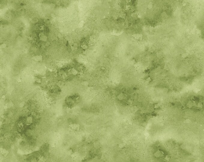 Eob~wilmington Prints Essentials Haze 108" Wide Backing Green Cotton ...