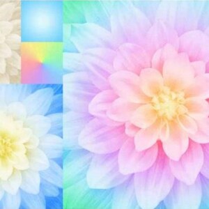 Quilt Kit~star Flowers~60" X 69" Kablooms and Supernova Panel Quilt ...