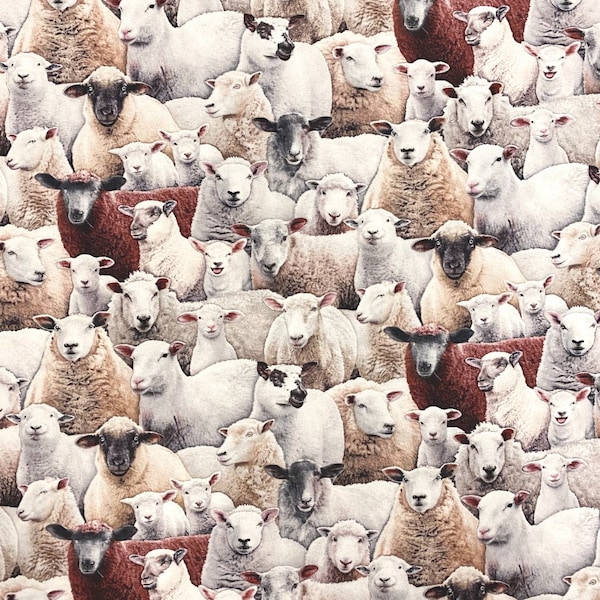 Sheep Fabric - Etsy