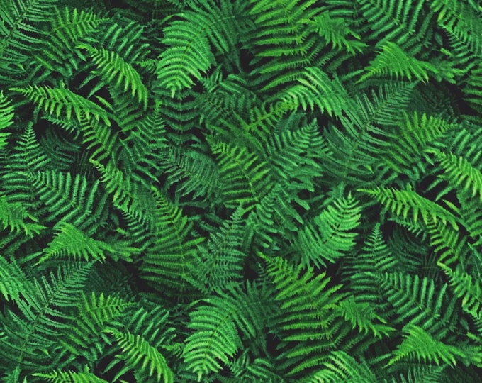Botanical Ferns Fabric Fern Botanical White by Peacoquettedesigns ...