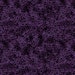 Quilt Kit~botanical Magic~64.5" X 82.5" Watercolor Floral Twin Quilt ...