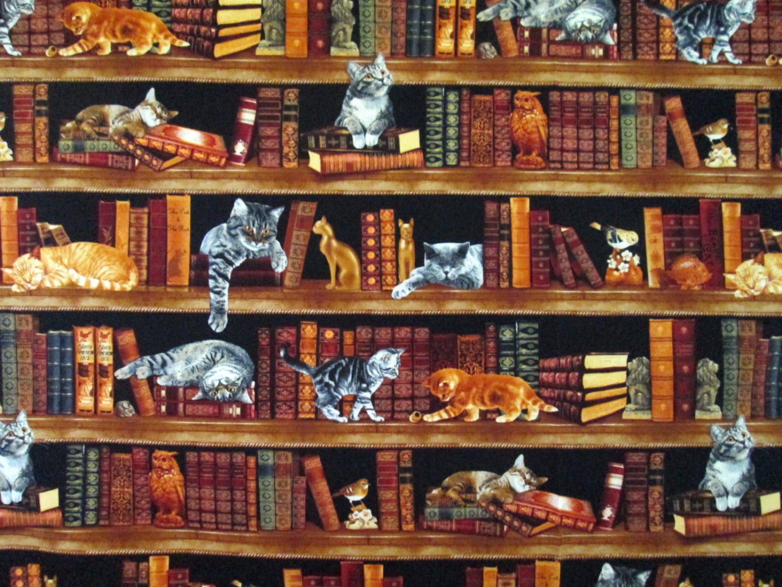 Timeless Treasures Library Cats Cats in the Library | Etsy