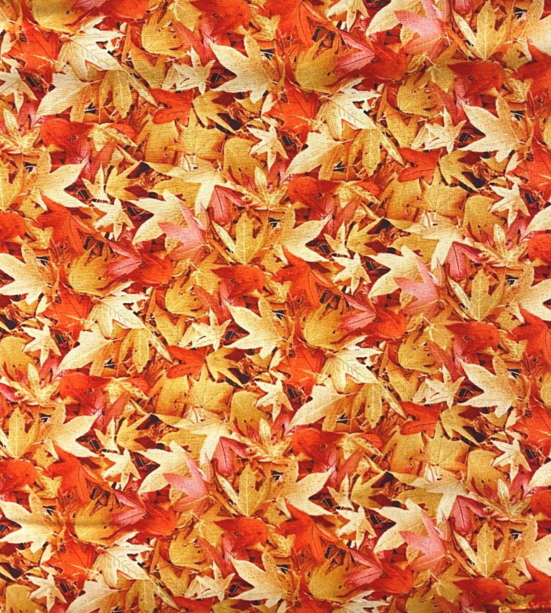 Eob~blank Quilting~natural Treasures Ii~autumn Leaves~tan~cotton Fabric ...