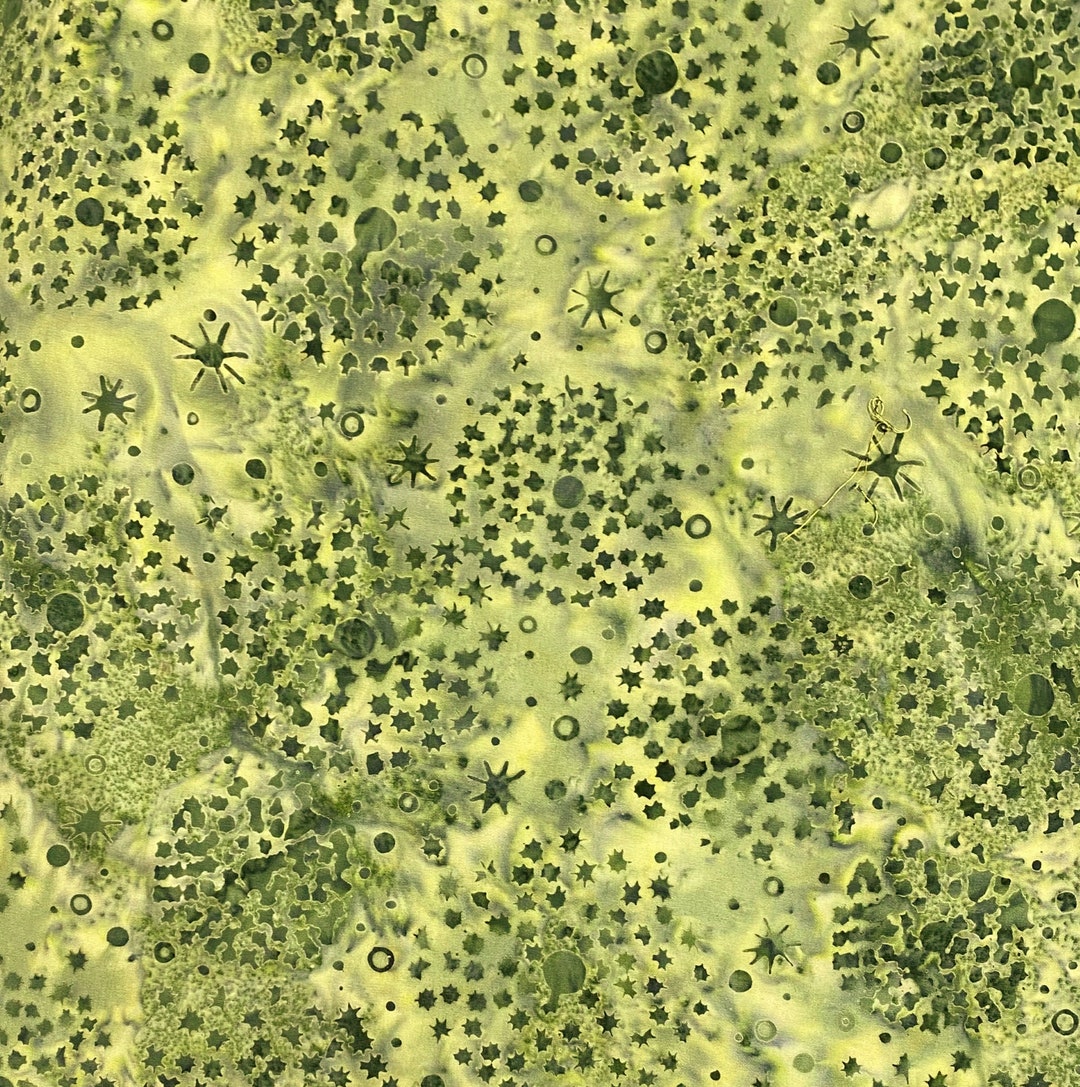 Island Batik Wondrous Dandelion Frog Cotton Batik Fabric by the Yard or ...