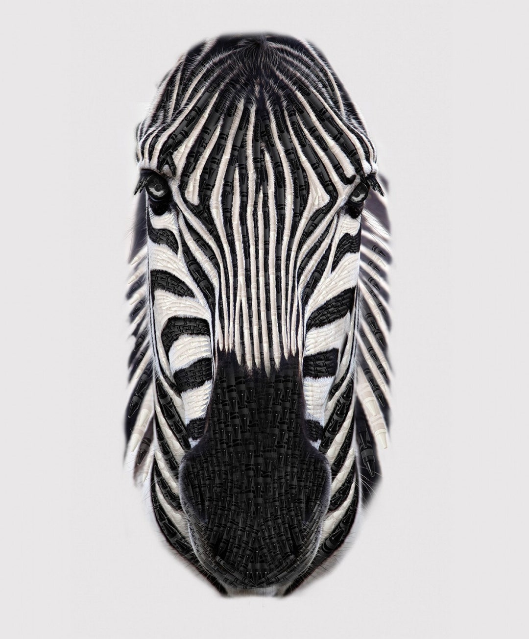 Riley Blake~its a Crayola World~36" Crayon Zebra Panel~multi~cotton ...