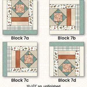 Quilt Kit~seasons Study by Lisa Audit~99" X 107" Autumn Earth Queen ...