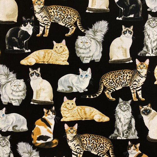 Kitty Fabric Yarn Ball and Tabby Calico Kittens Daisies - Etsy