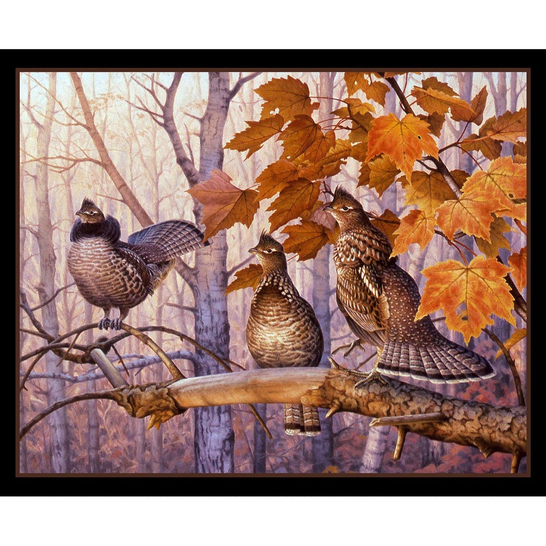 Elizabeths Studio~out on a Limb~36" X 44" Pheasant Panel~black~cotton ...