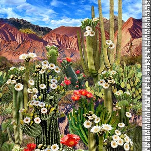 Timeless Treasures~southwest Sunset~24.5" Scenic Cactus Panel~digital ...