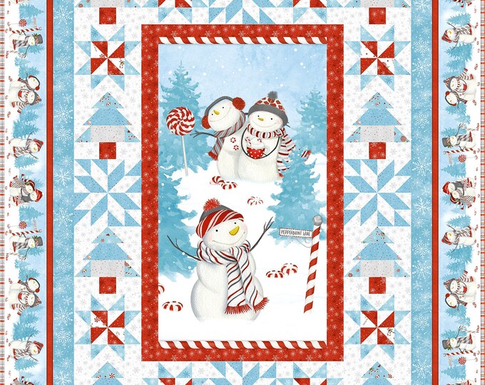 Quilt Kit~frosty Merry Mints~56.5" X 72.5" Snowman Panel Throw Quilt ...