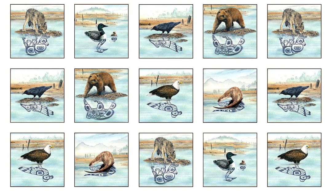 Elizabeths Studio~native Reflections~23-5/8" X 44" Native American ...