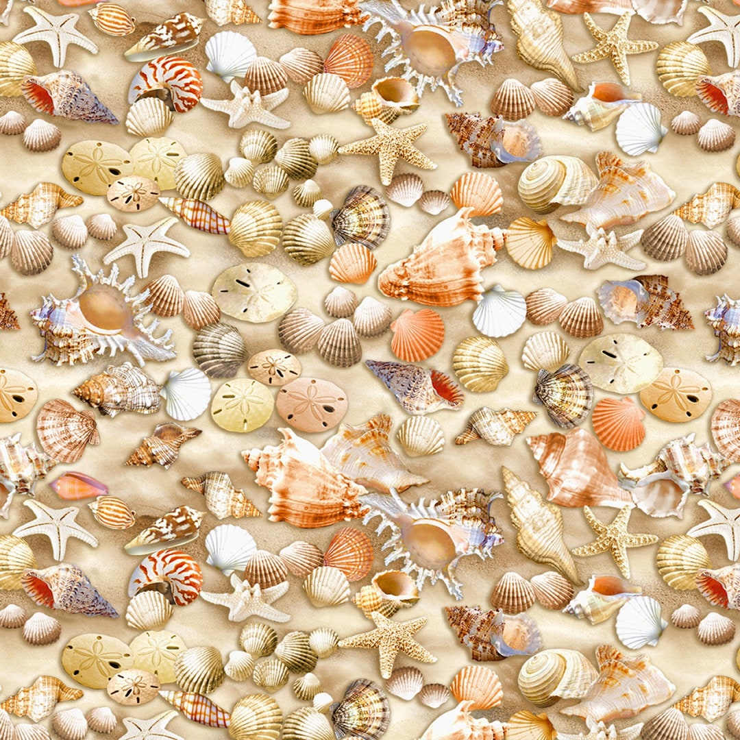 EOB Timeless Treasures~beach Comber~shells~multi~digital~cotton Fabric ...