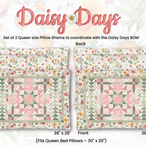 Quilt Kit~daisy Days~95" X 107" Daisy Theme Queen Size Quilt (includes ...