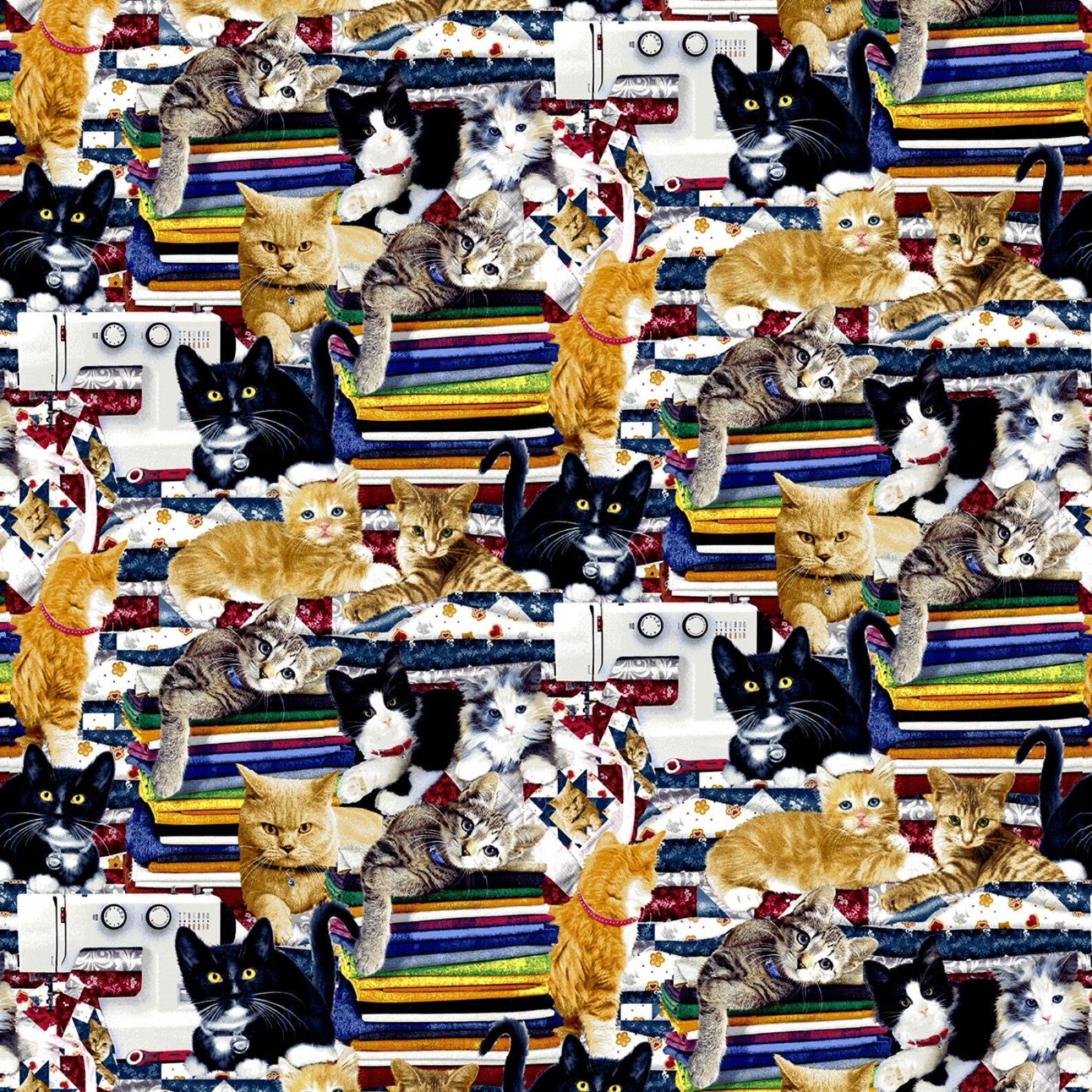 Quilt Kit~quilted Kitties~53" X 71" Quilt Kitties Block Quilt (includes ...