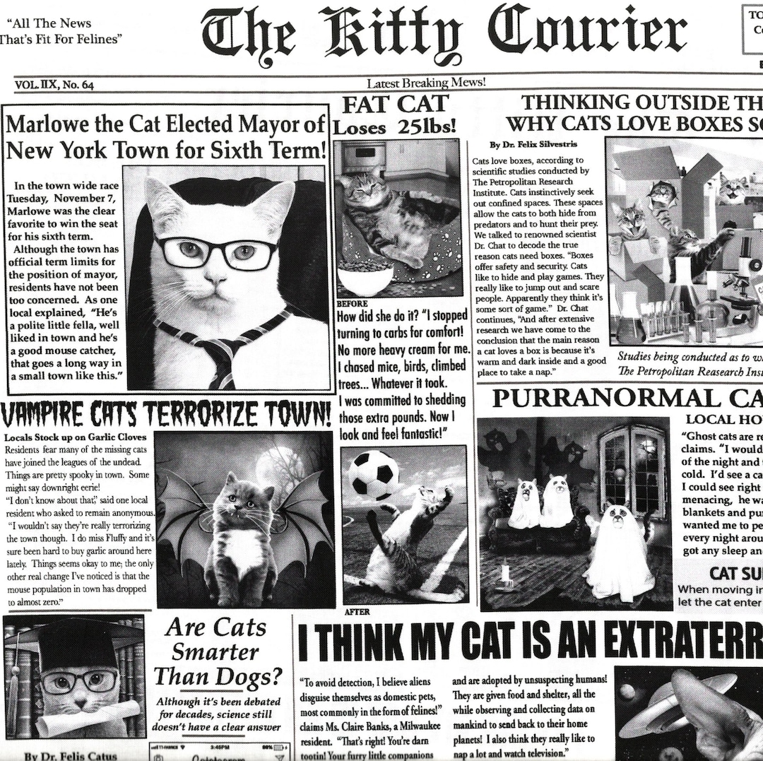 Timeless Treasures Quirky Cats Cat Newspaper Newsprint Cotton Fabric by ...