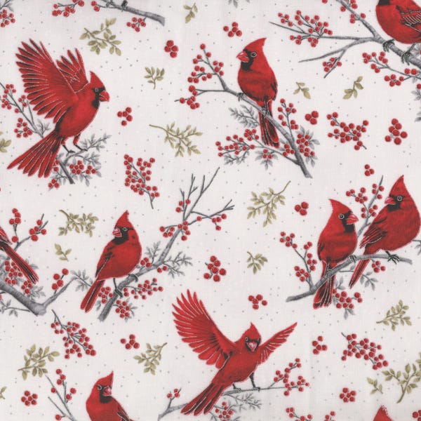 Birch Fabric - Etsy
