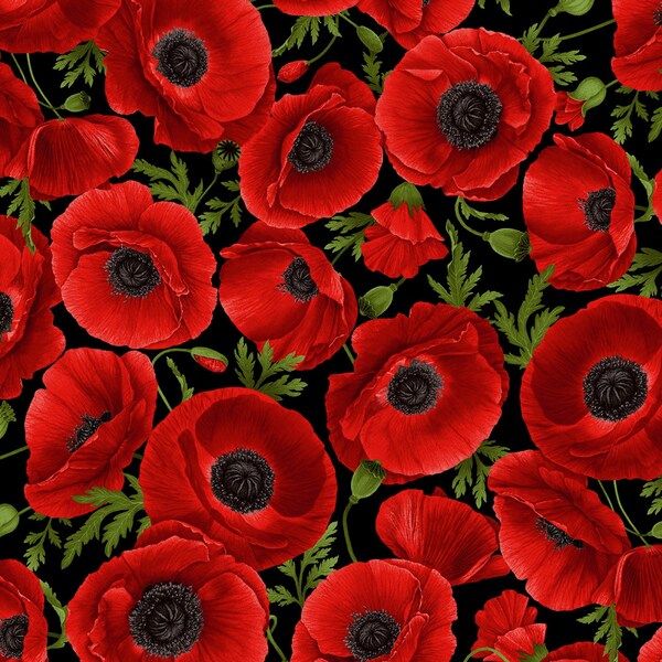 Wild Poppy - Etsy