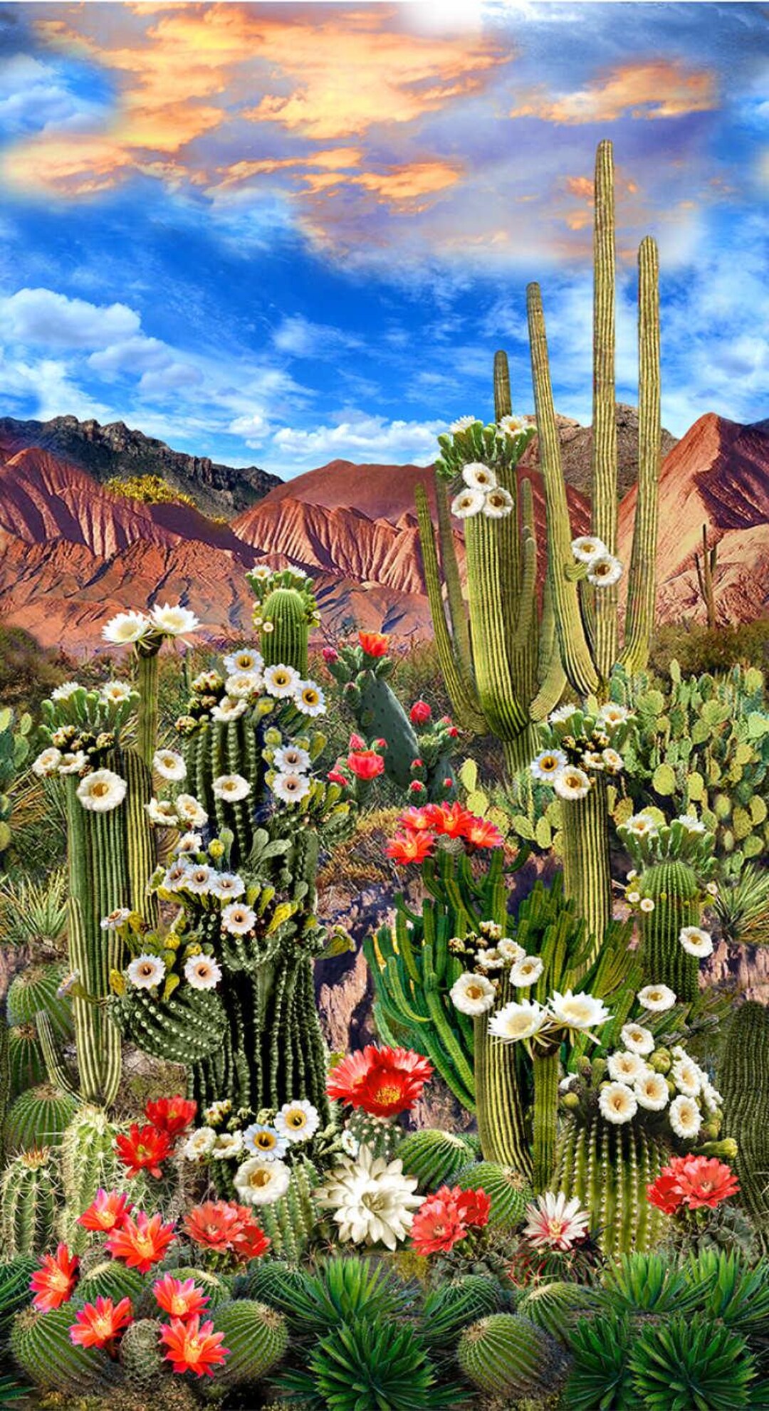 Timeless Treasures~southwest Sunset~24.5" Scenic Cactus Panel~digital ...