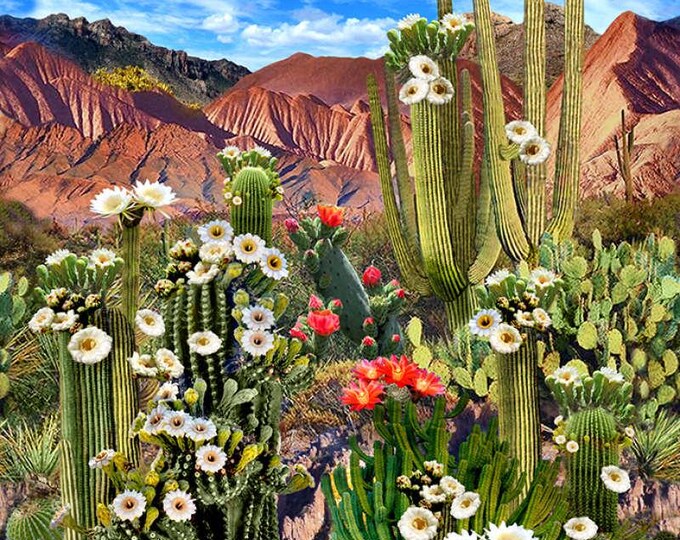 Timeless Treasures~southwest Sunset~24.5" Scenic Cactus Panel~digital ...