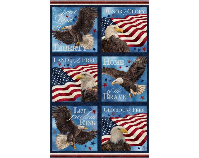 Northcott Stonehenge Stars & Stripes 13 24" X 43" Patriotic Block Panel ...