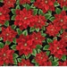 Hoffman~christmas Splendor~packed Poinsettia W/ Metallic Gold~black ...