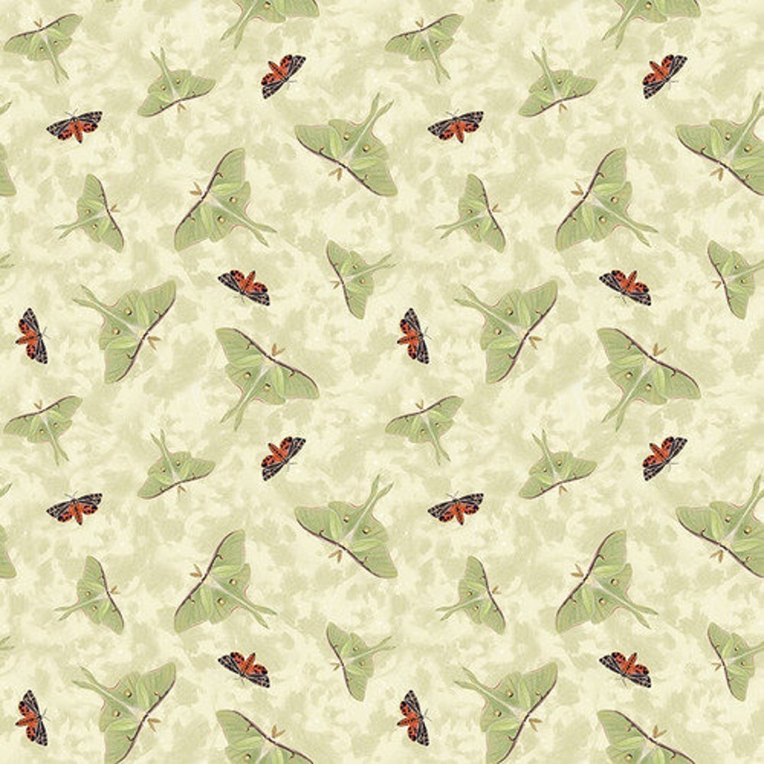 Blank Quilting~midnight Rendezvous~moths~ivory~cotton Fabric by the ...
