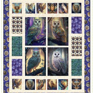 Quilt Kit~birds Eye View~67" X 75" Mystic Owls Panel Quilt (includes ...