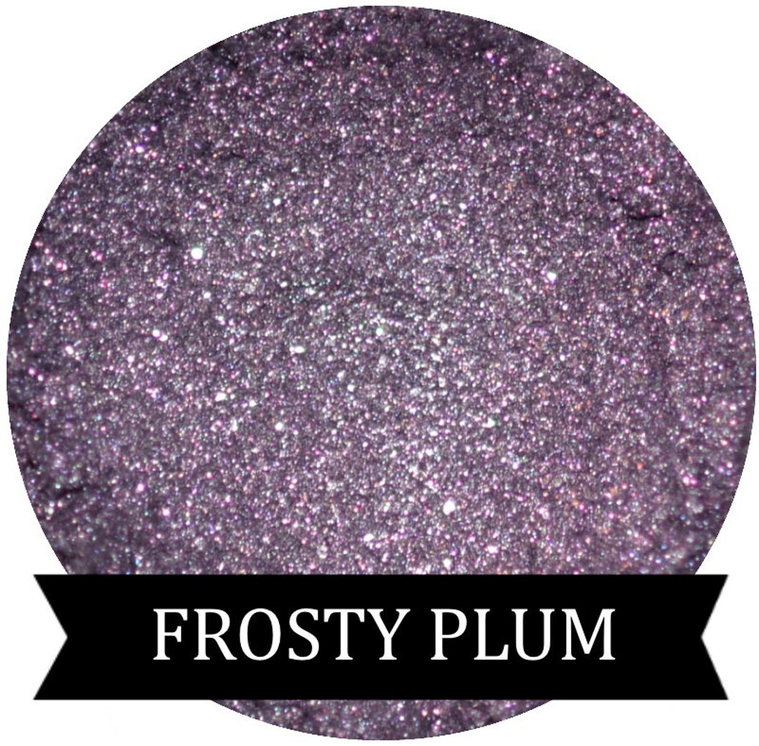 FROSTY PLUM Shimmery Purple Eyeshadow - Etsy