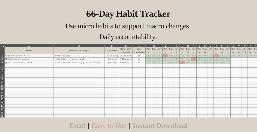 66 Day Habit Tracker - Excel - Daily Accountability - Etsy