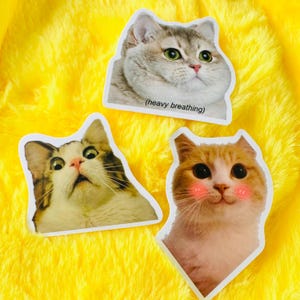 50 Funny Cat Meme Stickers: Kawaii Waterproof Decals - Etsy Australia