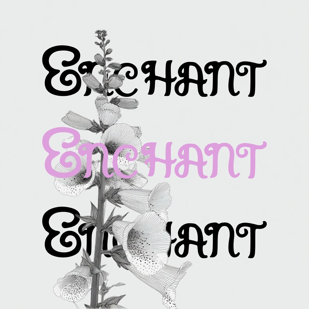 Enchant | Whimsical Fairy Tale Script Font | Digital Download OTF TTF ...