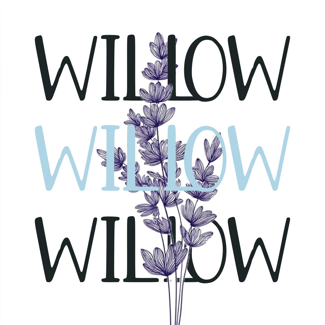 Willow | Modern Handwritten Script Font | Digital Download OTF TTF | - Etsy