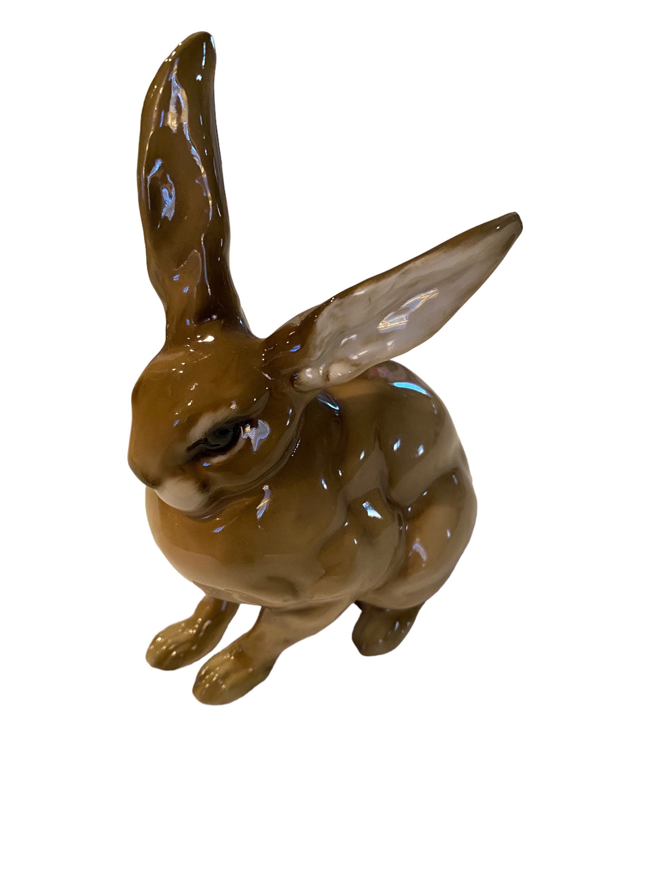 Rabbit Ancestors | ppgbbe.intranet.biologia.ufrj.br