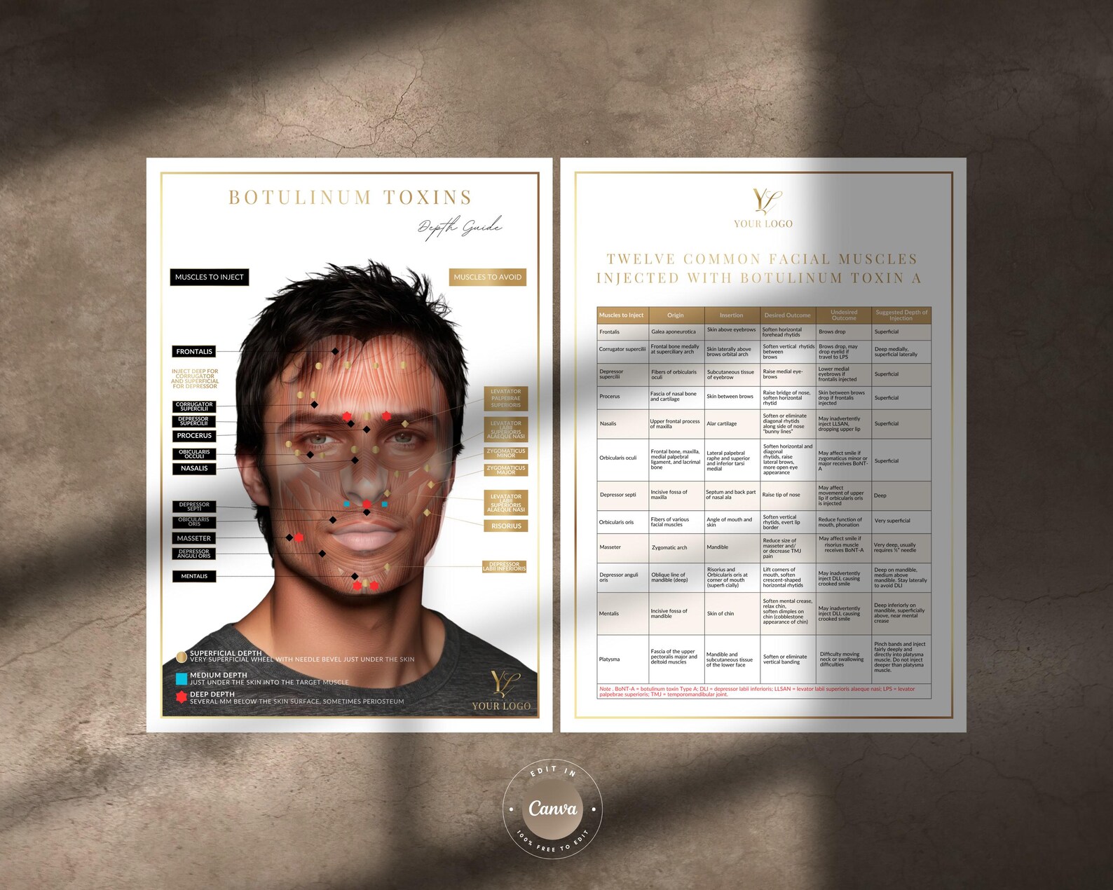 Botox Cheat Sheets for Injection Depth With Facial Muscles Anatomy ...