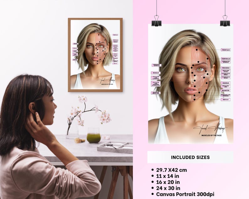 Facial Muscles Anatomy Poster: Aesthetics Clinic Decor (digital ...