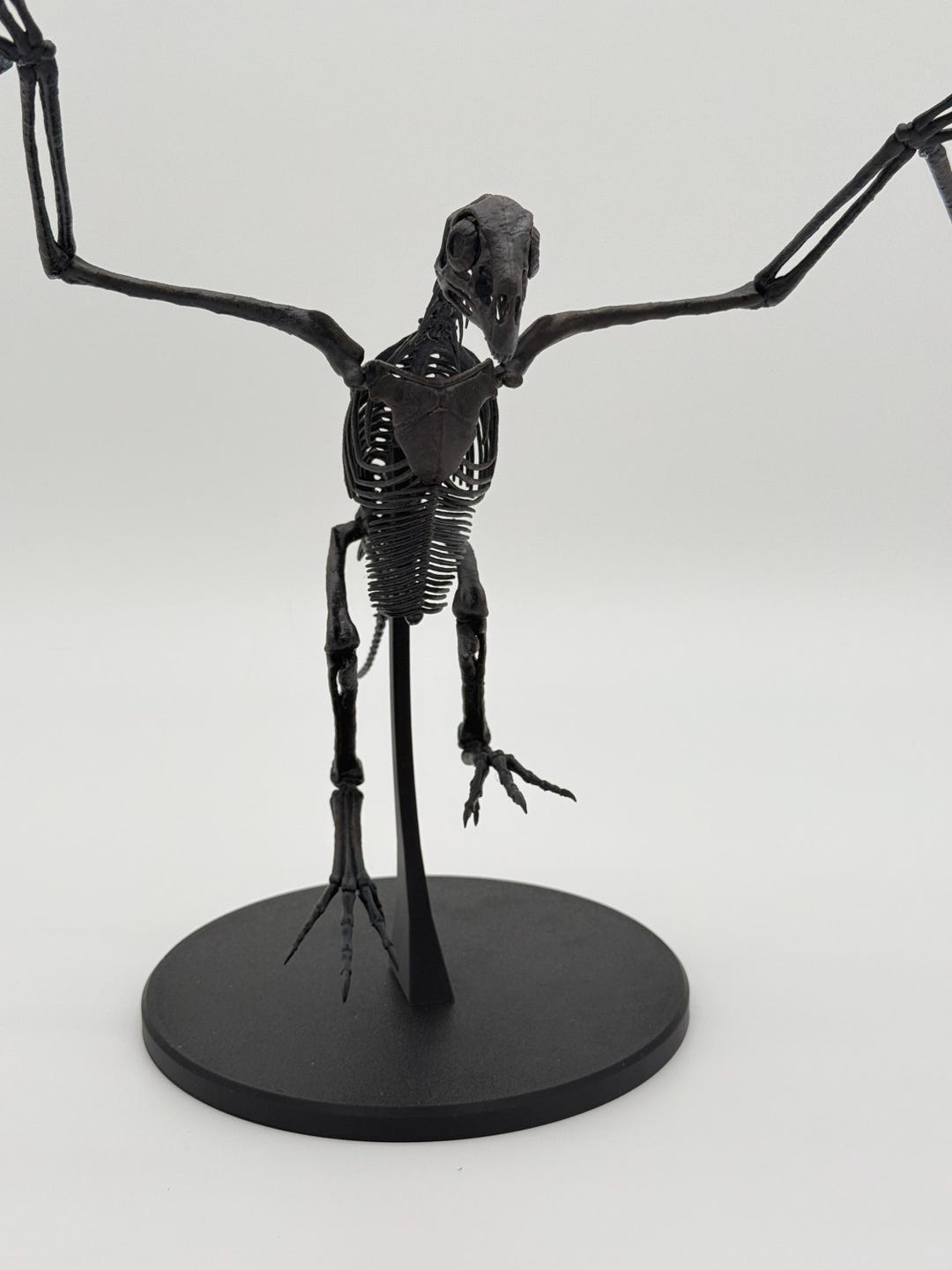 Yi Qi Dinosaur Skeleton Kit – Signature 3D Printed Fossil Model ...