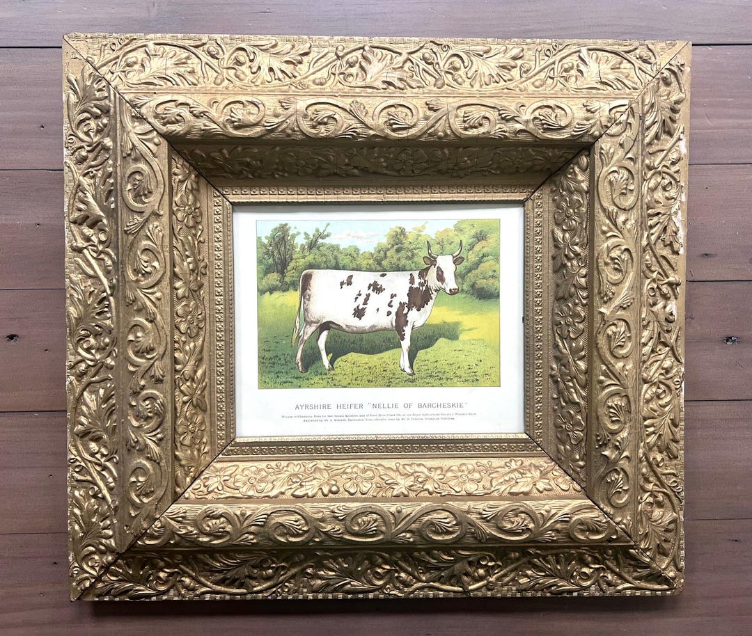 Vintage Cow Print, Farmhouse Art Print, Antique Gold Frame, English Cow ...